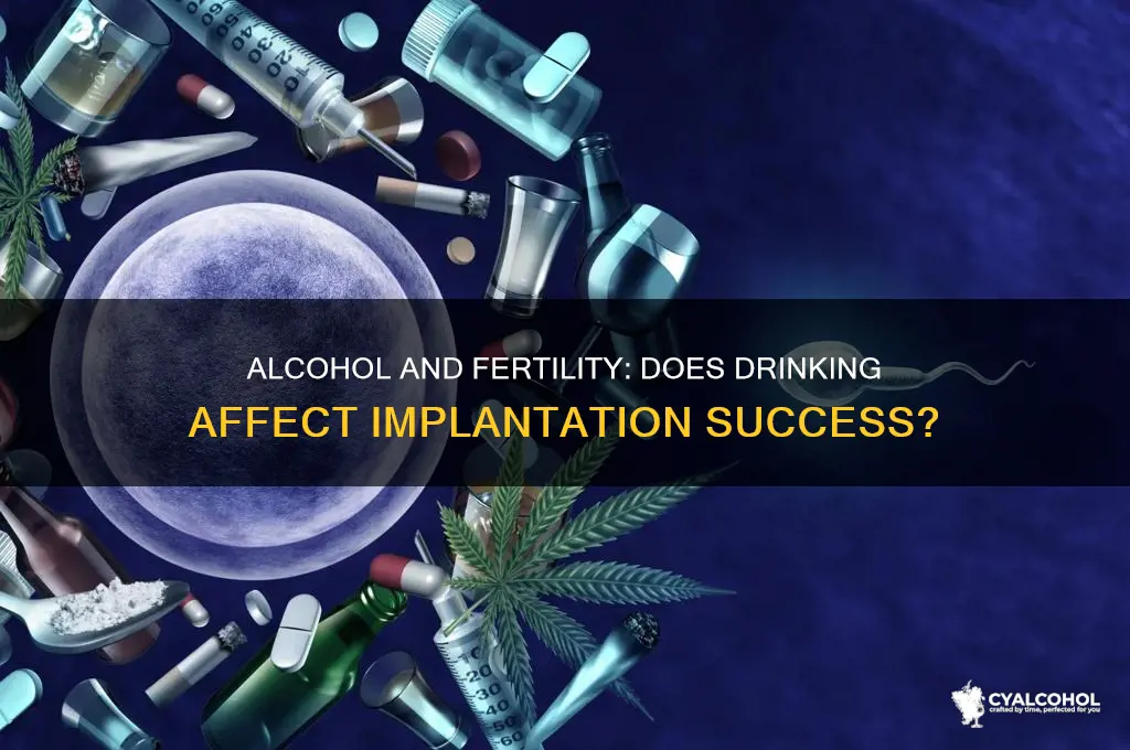 Alcohol And Fertility: Does Drinking Affect Implantation Success ...