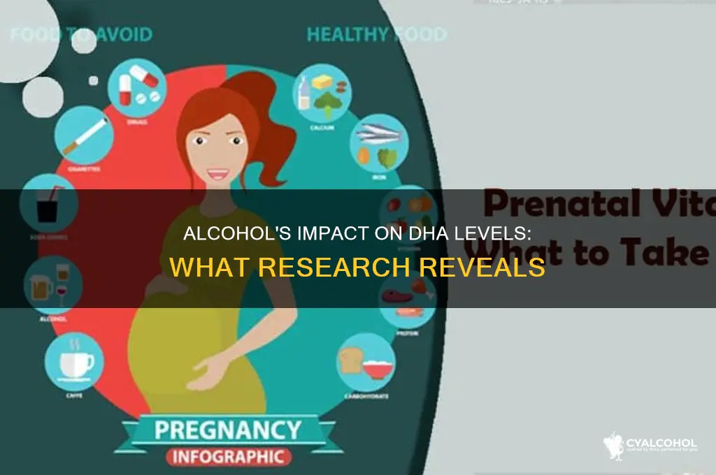 Alcohol's Impact On Dha Levels: What Research Reveals | CyAlcohol