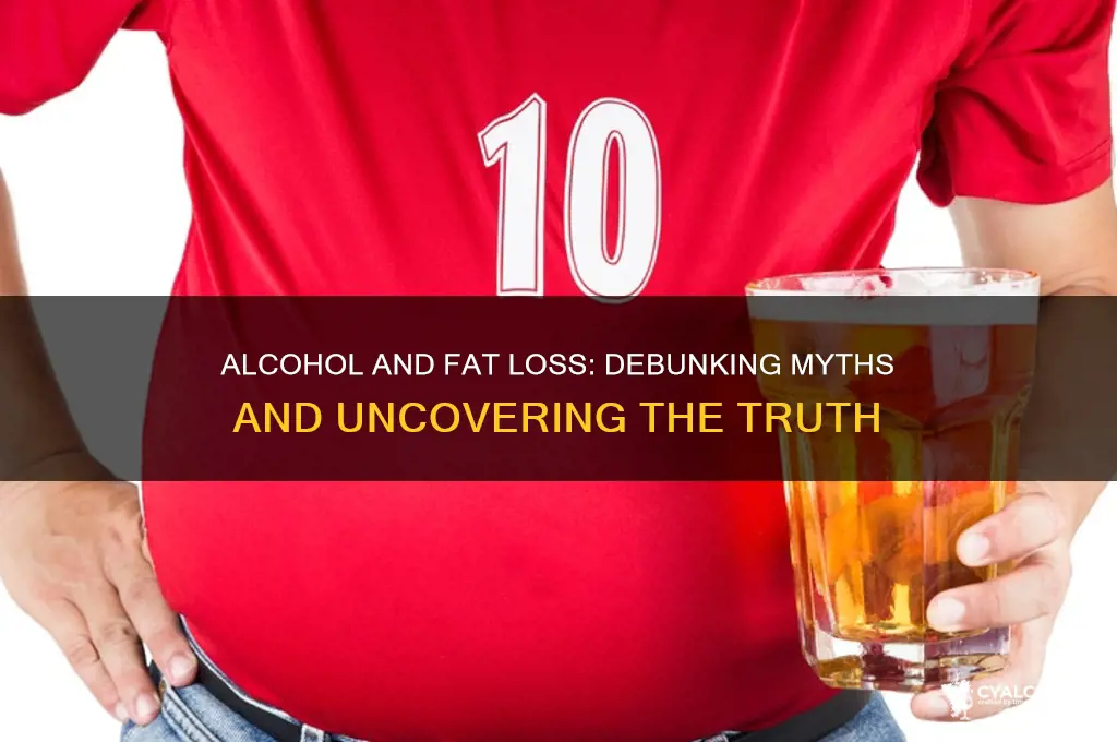 Alcohol And Fat Loss: Debunking Myths And Uncovering The Truth | CyAlcohol