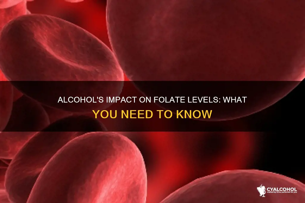 Alcohol's Impact On Folate Levels: What You Need To Know | CyAlcohol