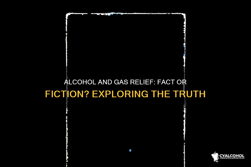 Alcohol And Gas Relief: Fact Or Fiction? Exploring The Truth | CyAlcohol