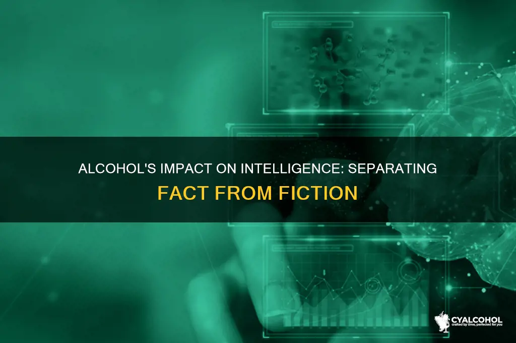 Alcohol's Impact On Intelligence: Separating Fact From Fiction | CyAlcohol