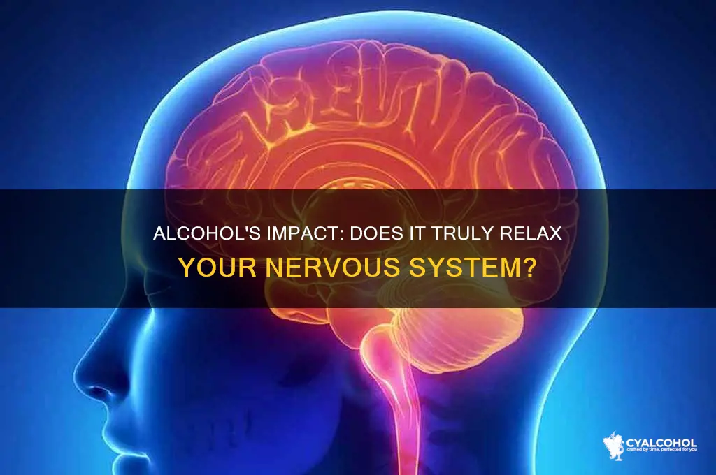 Alcohol's Impact: Does It Truly Relax Your Nervous System? | CyAlcohol