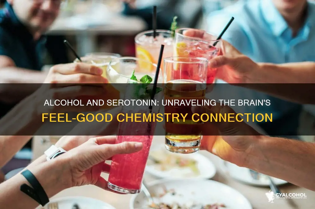 Alcohol And Serotonin: Unraveling The Brain's Feel-Good Chemistry ...