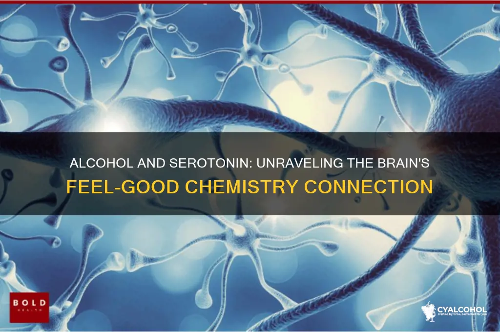 Alcohol And Serotonin: Unraveling The Brain's Feel-Good Chemistry ...