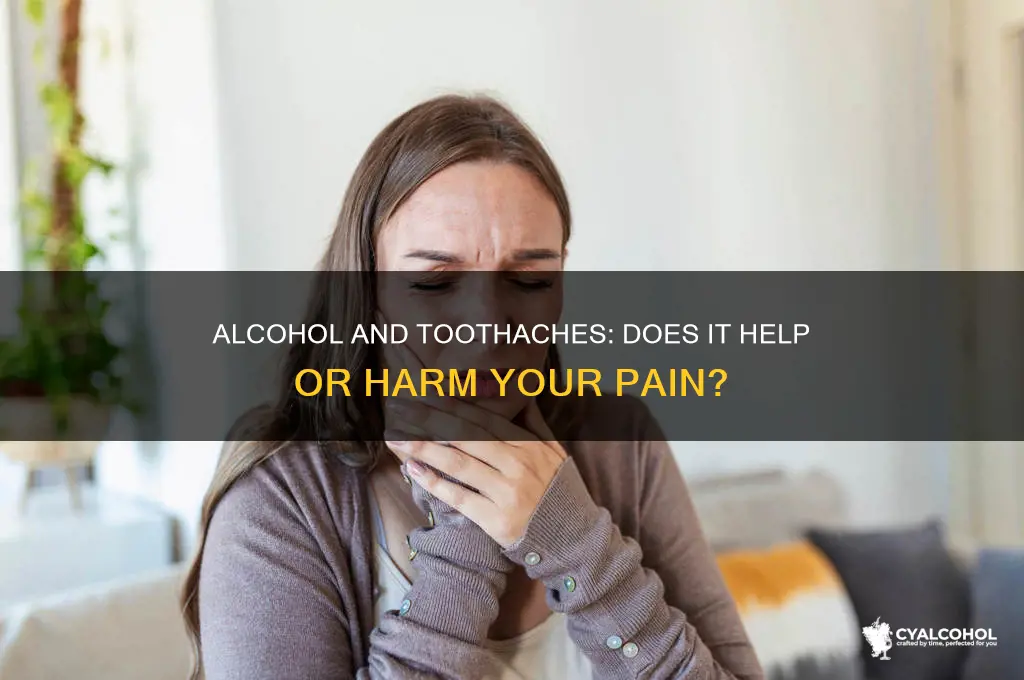 Alcohol And Toothaches: Does It Help Or Harm Your Pain? | CyAlcohol
