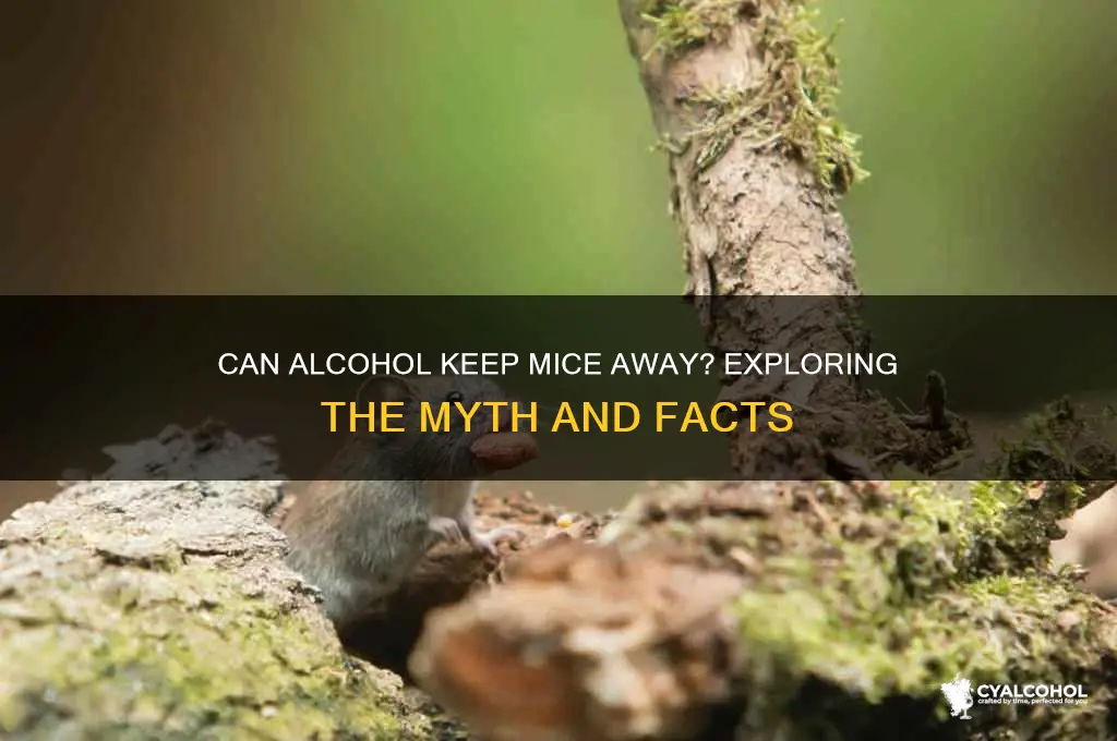 Can Alcohol Keep Mice Away? Exploring The Myth And Facts | CyAlcohol