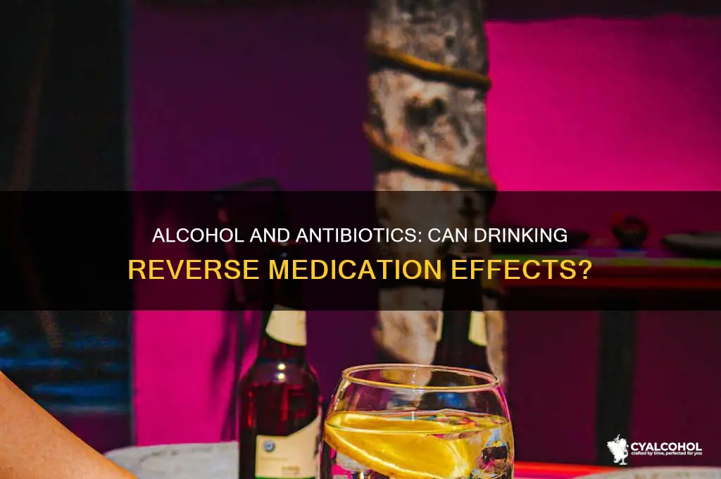 Alcohol And Antibiotics: Can Drinking Reverse Medication Effects ...