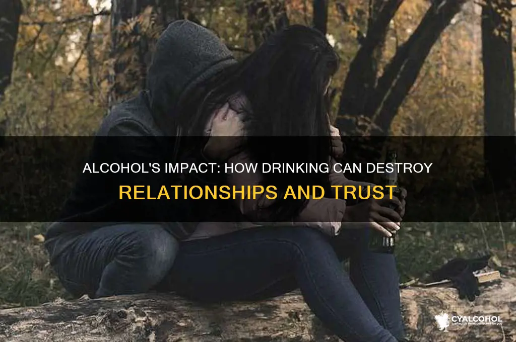 Alcohol's Impact: How Drinking Can Destroy Relationships And Trust ...