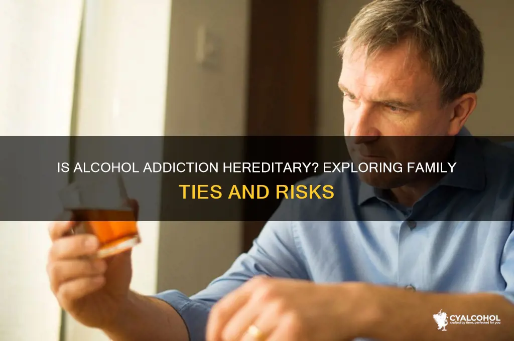 Is Alcohol Addiction Hereditary? Exploring Family Ties And Risks ...