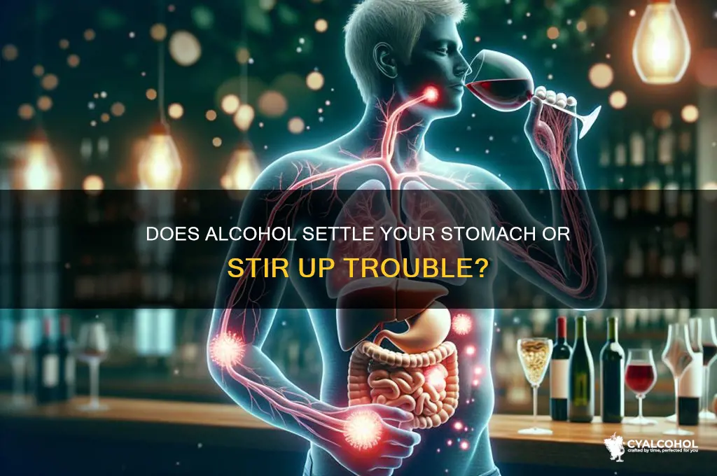 Does Alcohol Settle Your Stomach Or Stir Up Trouble? | CyAlcohol
