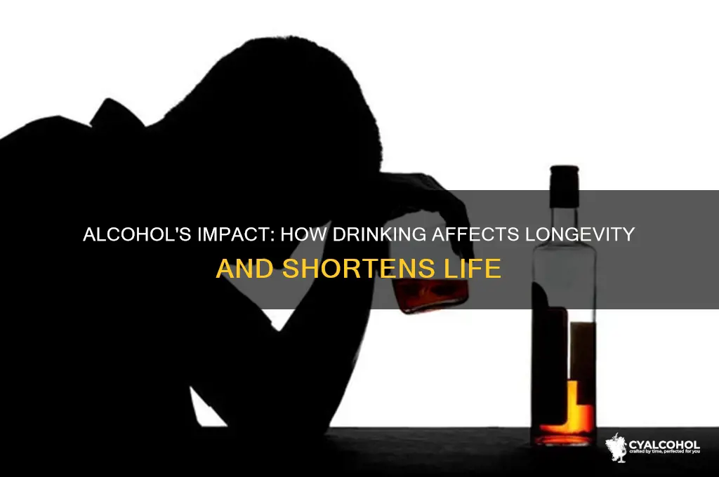 Alcohol's Impact: How Drinking Affects Longevity And Shortens Life ...