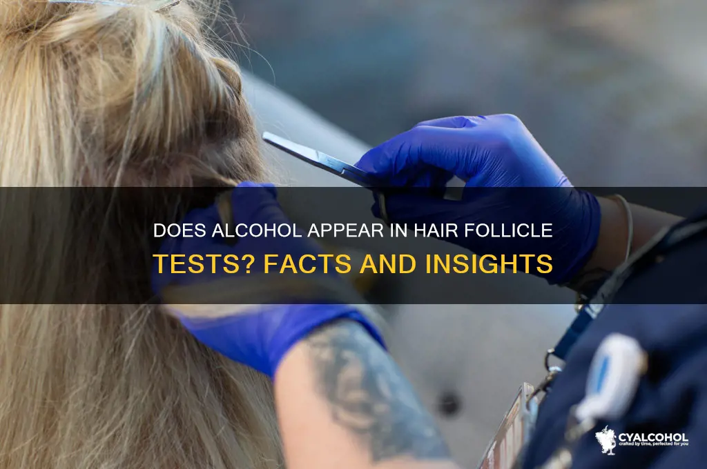 Does Alcohol Appear In Hair Follicle Tests? Facts And Insights | CyAlcohol