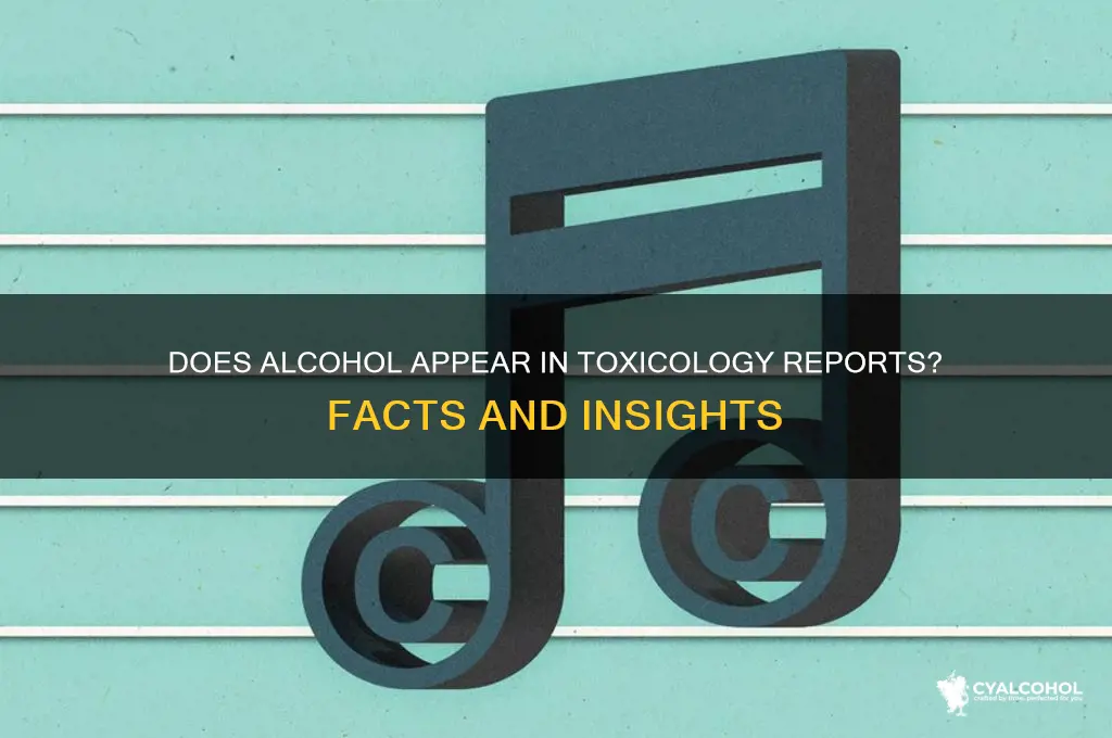 Does Alcohol Appear In Toxicology Reports? Facts And Insights | CyAlcohol