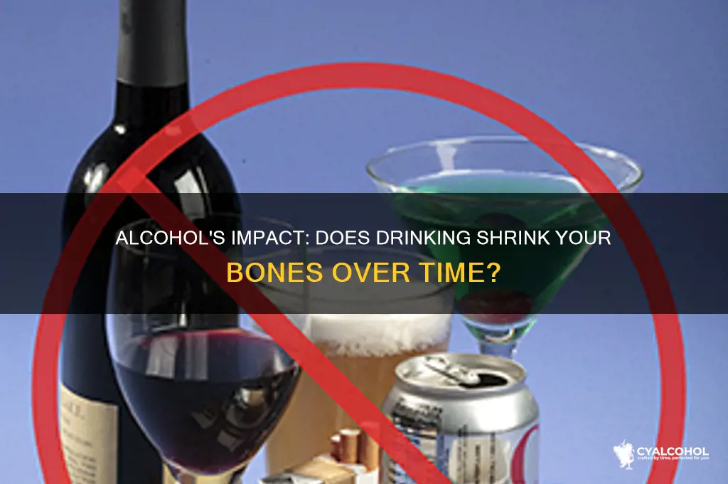 Alcohol's Impact: Does Drinking Shrink Your Bones Over Time? | CyAlcohol