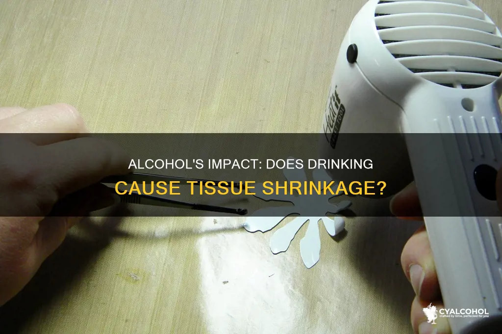 Alcohol's Impact: Does Drinking Cause Tissue Shrinkage? | CyAlcohol