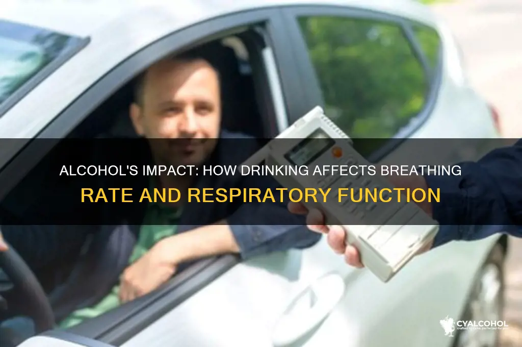 Alcohol's Impact: How Drinking Affects Breathing Rate And Respiratory ...