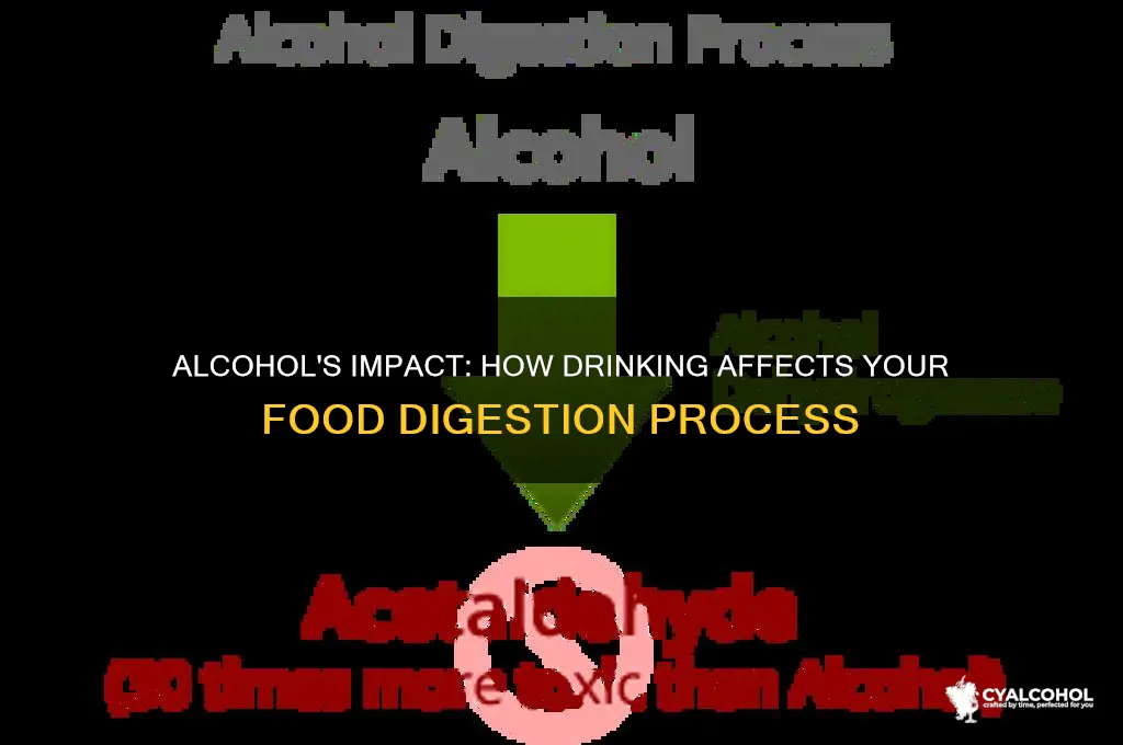 Alcohol's Impact: How Drinking Affects Your Food Digestion Process ...
