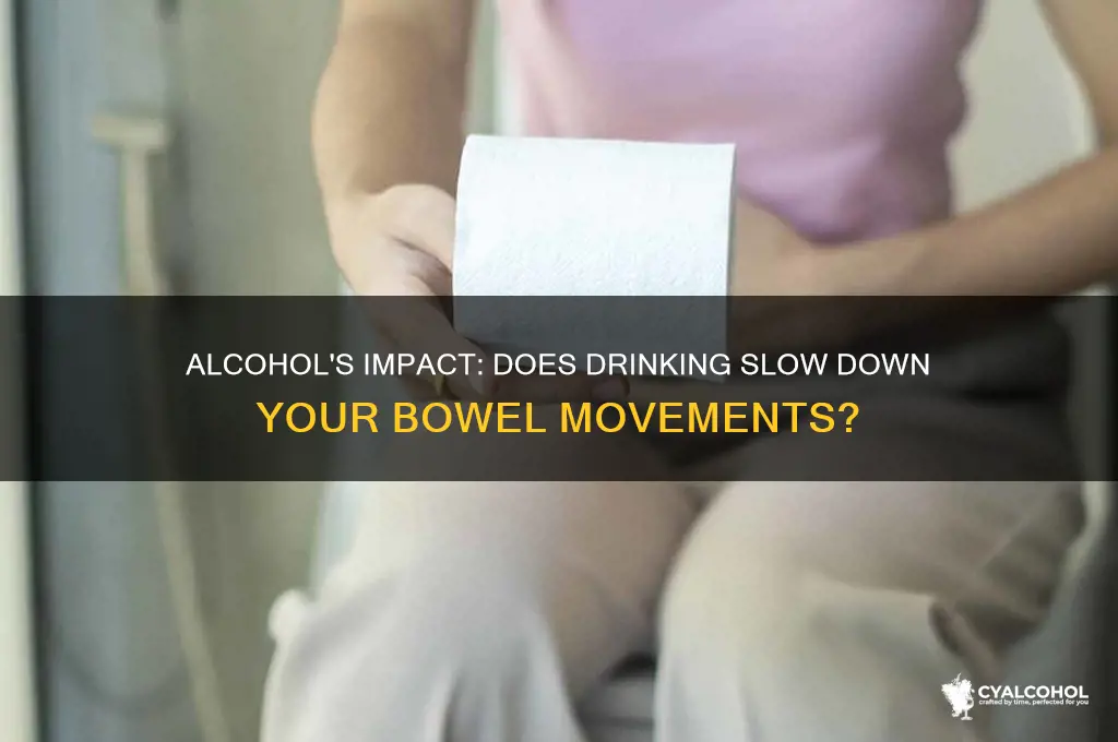 Alcohol's Impact: Does Drinking Slow Down Your Bowel Movements? | CyAlcohol