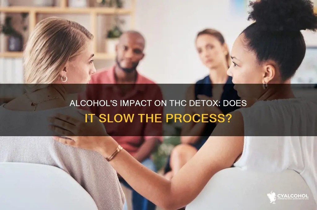 Alcohol's Impact On Thc Detox: Does It Slow The Process? | CyAlcohol