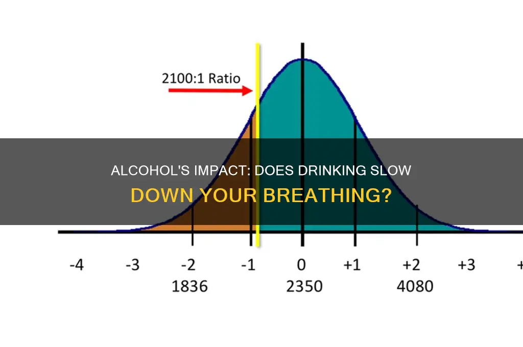 Alcohol's Impact: Does Drinking Slow Down Your Breathing? | CyAlcohol