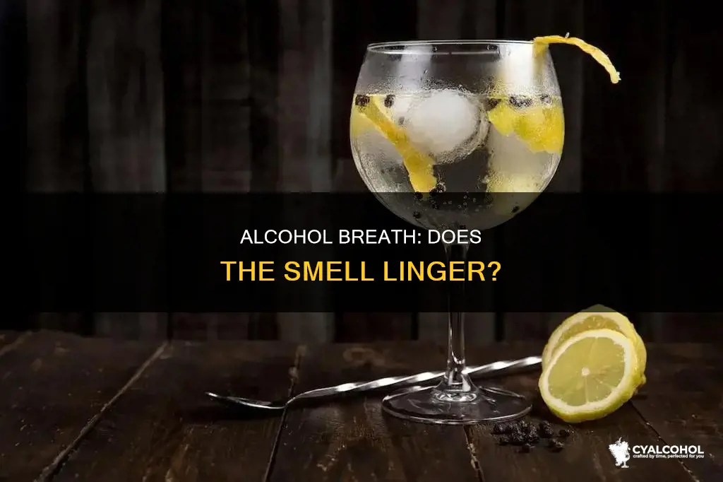 Alcohol Breath: Does The Smell Linger? | CyAlcohol