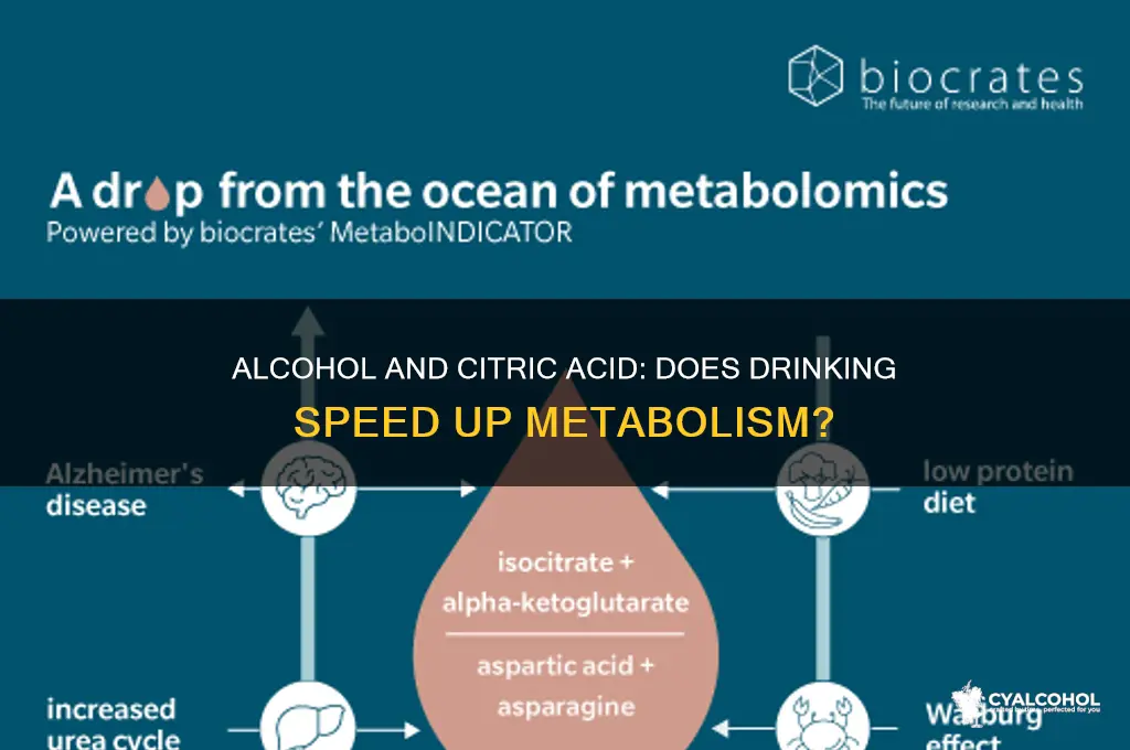Alcohol And Citric Acid: Does Drinking Speed Up Metabolism? | CyAlcohol