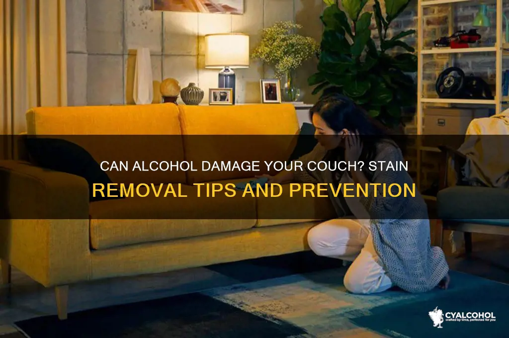 Can Alcohol Damage Your Couch? Stain Removal Tips And Prevention ...