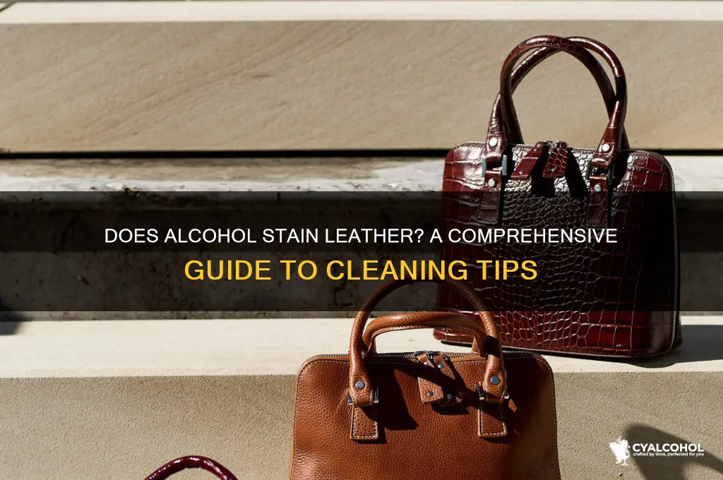 Does Alcohol Stain Leather? A Comprehensive Guide To Cleaning Tips ...