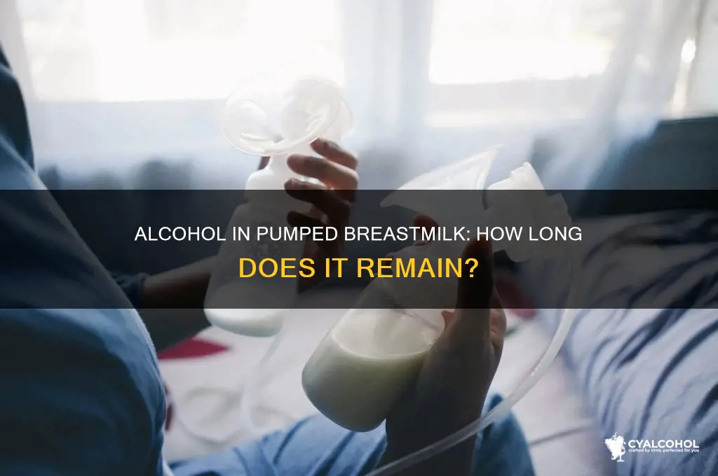 Alcohol In Pumped Breastmilk: How Long Does It Remain? | CyAlcohol