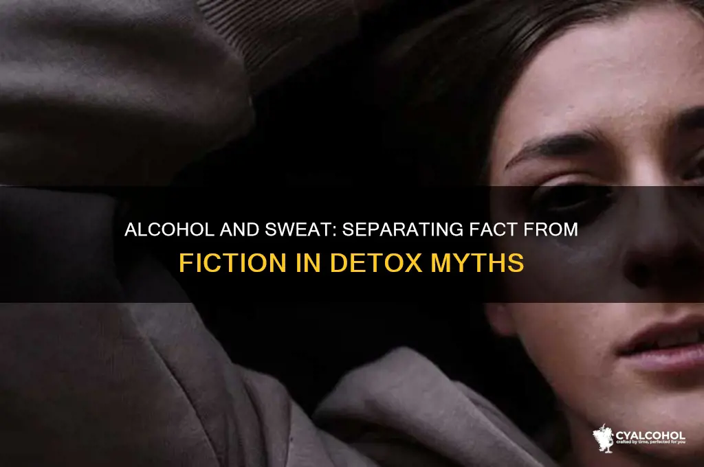 Alcohol And Sweat: Separating Fact From Fiction In Detox Myths | CyAlcohol