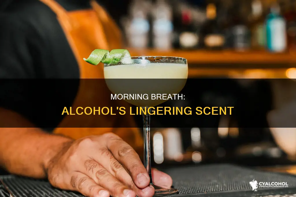 Morning Breath: Alcohol's Lingering Scent | CyAlcohol