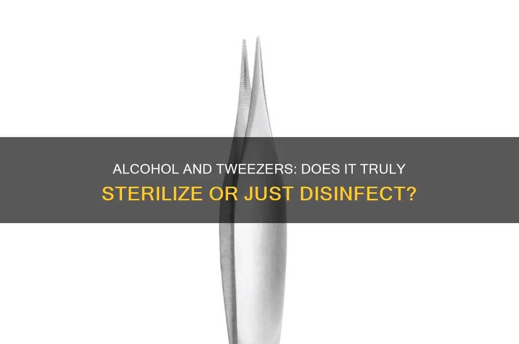 Alcohol And Tweezers: Does It Truly Sterilize Or Just Disinfect ...