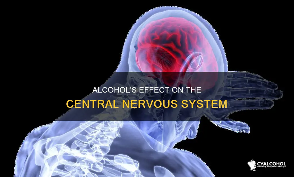 Alcohol's Effect On The Central Nervous System | CyAlcohol
