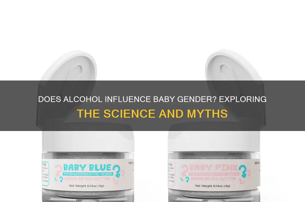 Does Alcohol Influence Baby Gender? Exploring The Science And Myths ...