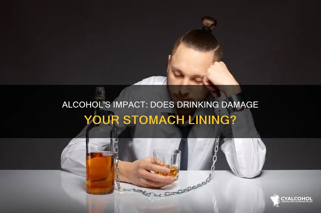 Alcohol's Impact: Does Drinking Damage Your Stomach Lining? | CyAlcohol