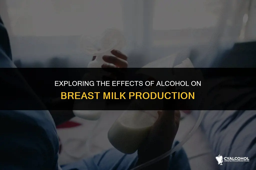 Exploring The Effects Of Alcohol On Breast Milk Production | CyAlcohol