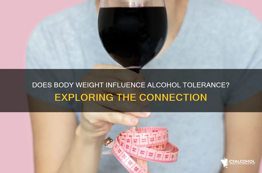 Does Body Weight Influence Alcohol Tolerance? Exploring The Connection ...