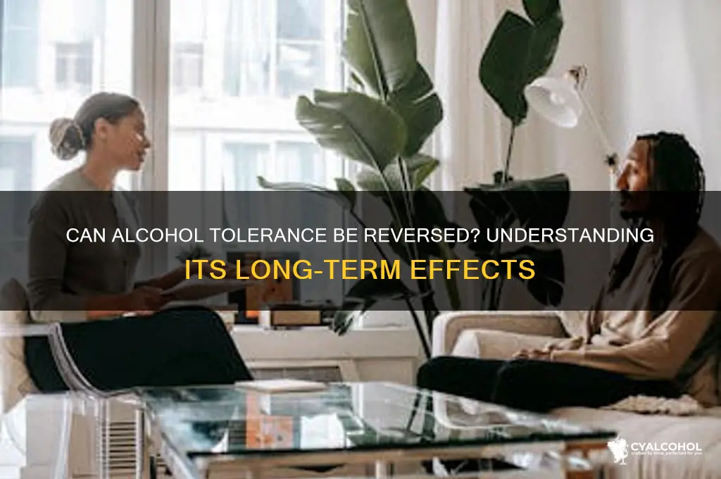 Can Alcohol Tolerance Be Reversed? Understanding Its Long-Term Effects ...