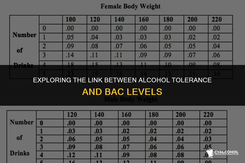 Exploring The Link Between Alcohol Tolerance And Bac Levels | CyAlcohol