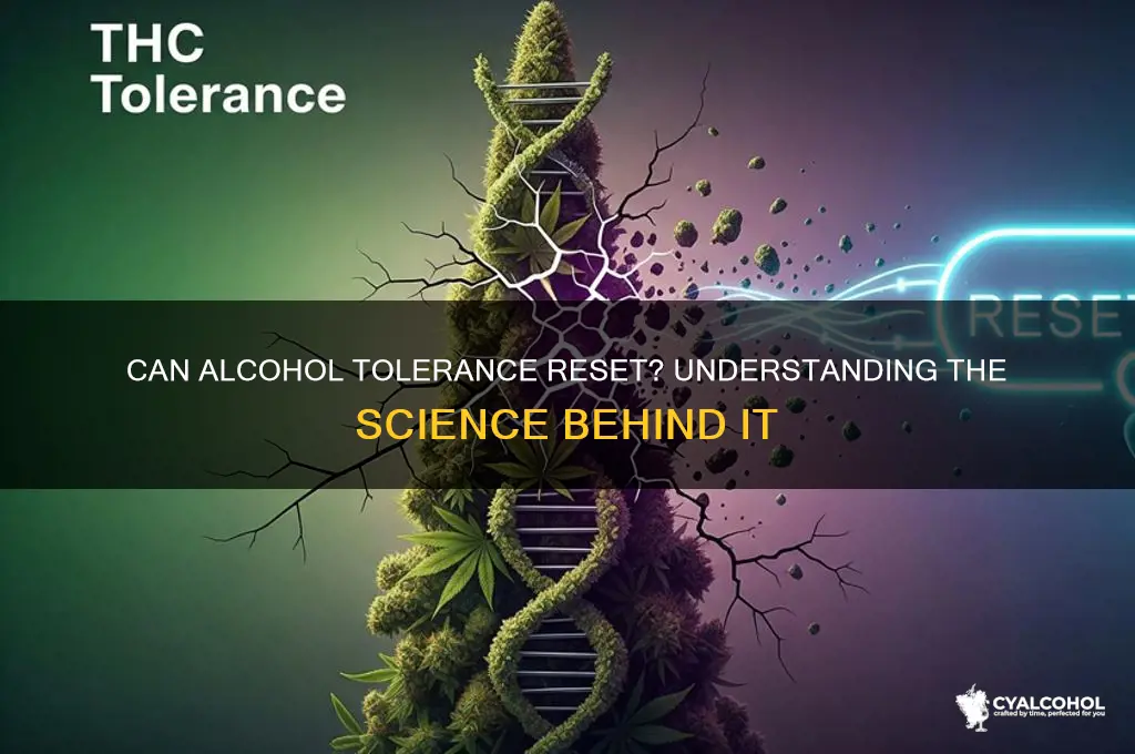 Can Alcohol Tolerance Reset? Understanding The Science Behind It ...