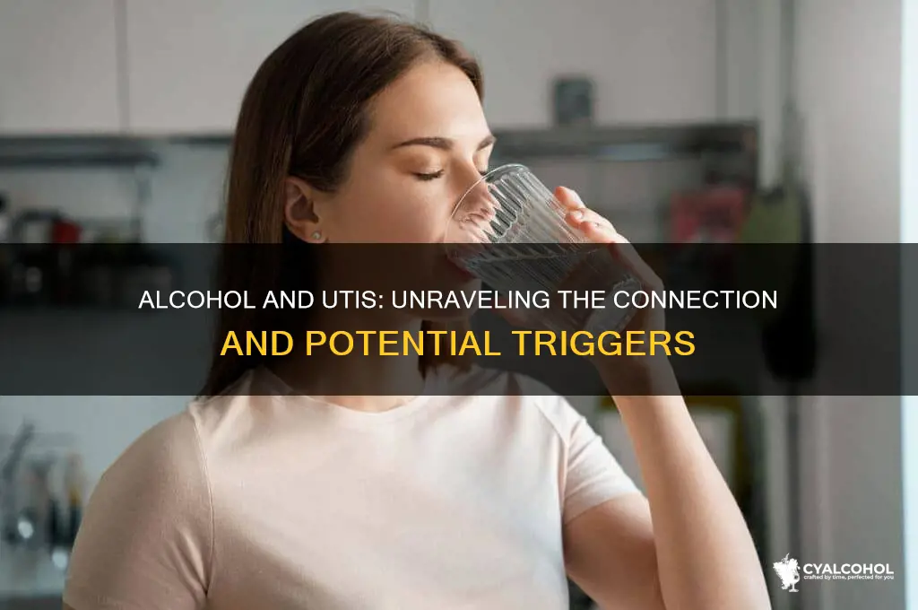 Alcohol And Utis: Unraveling The Connection And Potential Triggers ...