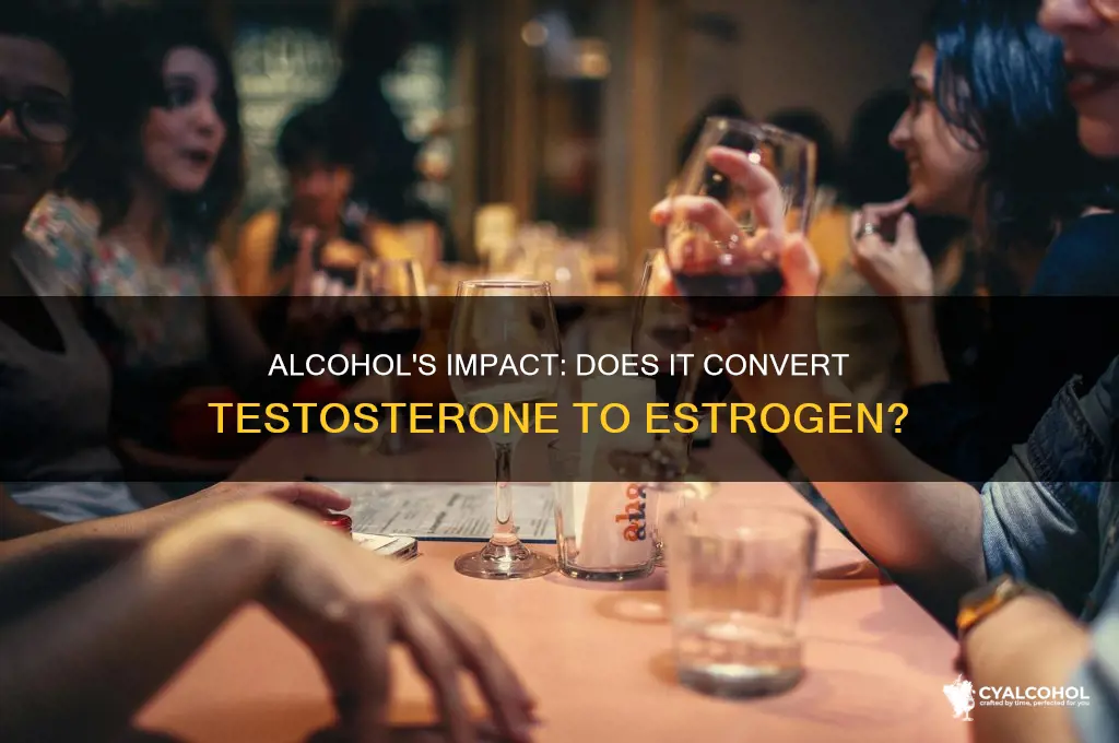 Alcohol's Impact: Does It Convert Testosterone To Estrogen? | CyAlcohol