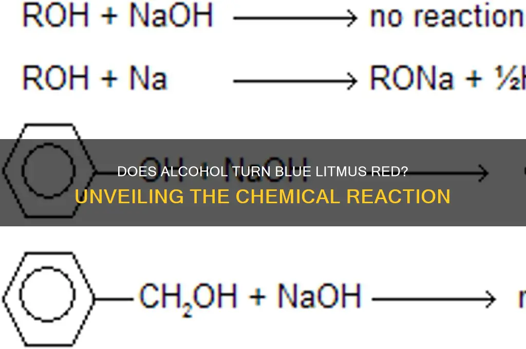 Does Alcohol Turn Blue Litmus Red? Unveiling The Chemical Reaction ...
