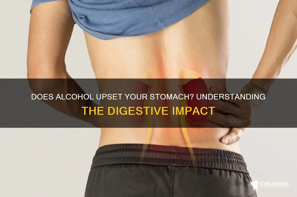 Does Alcohol Upset Your Stomach? Understanding The Digestive Impact ...