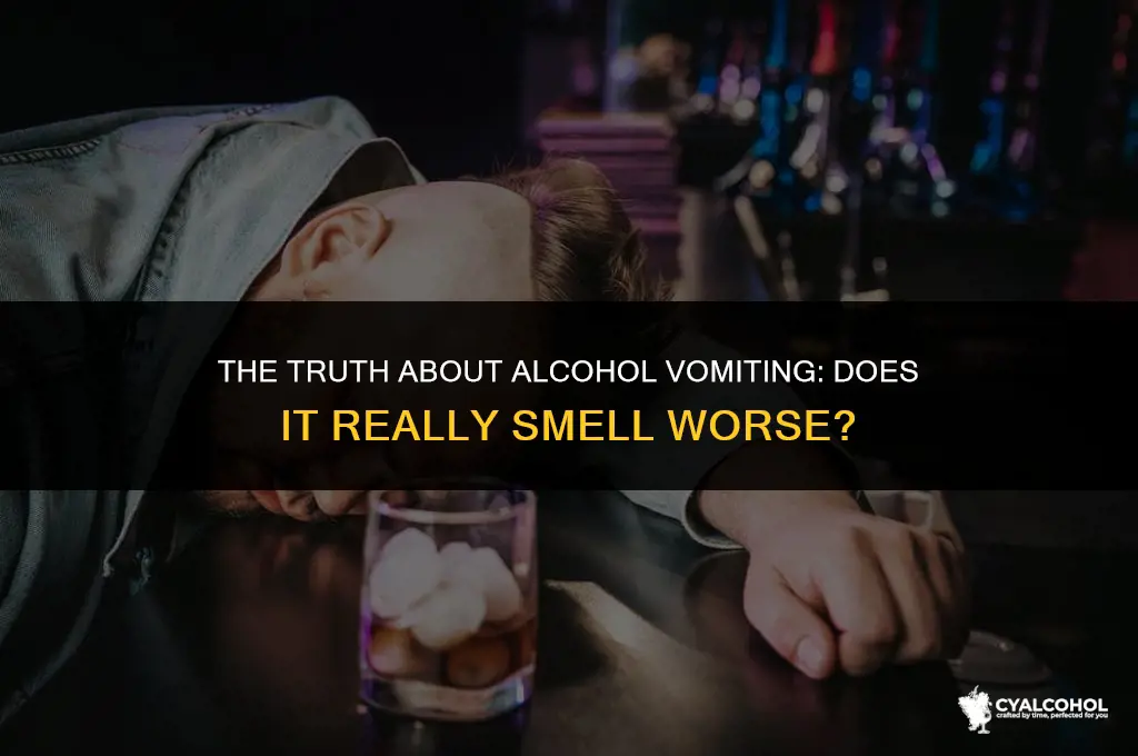 The Truth About Alcohol Vomiting: Does It Really Smell Worse? | CyAlcohol