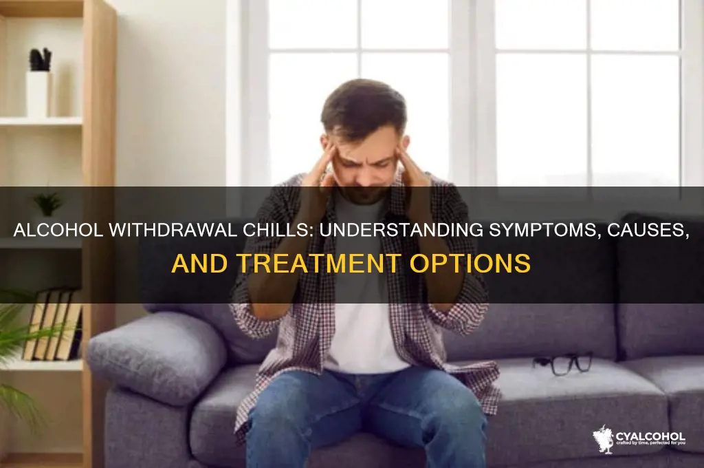 Alcohol Withdrawal Chills: Understanding Symptoms, Causes, And ...