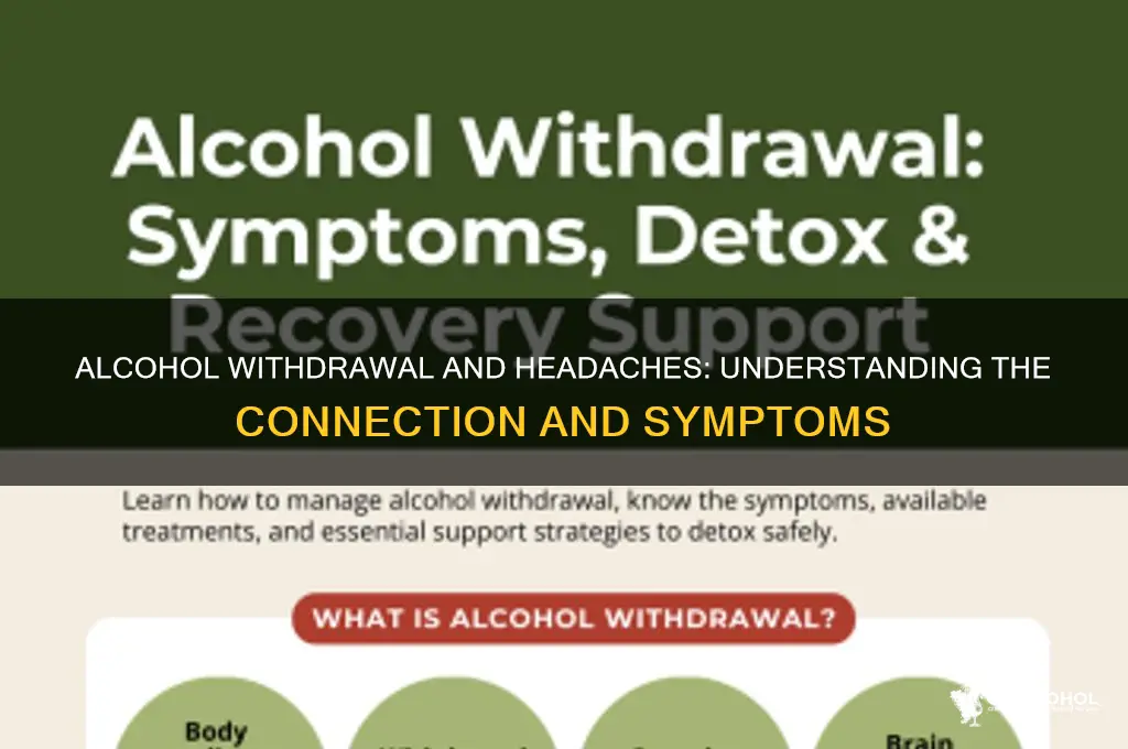 Alcohol Withdrawal And Headaches: Understanding The Connection And ...