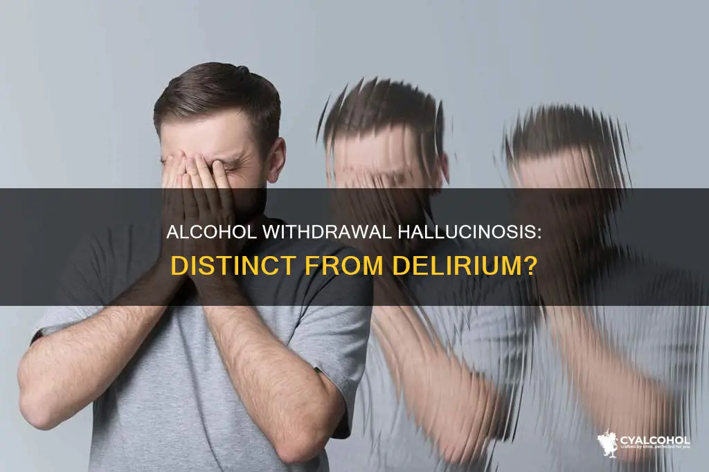 Alcohol Withdrawal Hallucinosis: Distinct From Delirium? | CyAlcohol