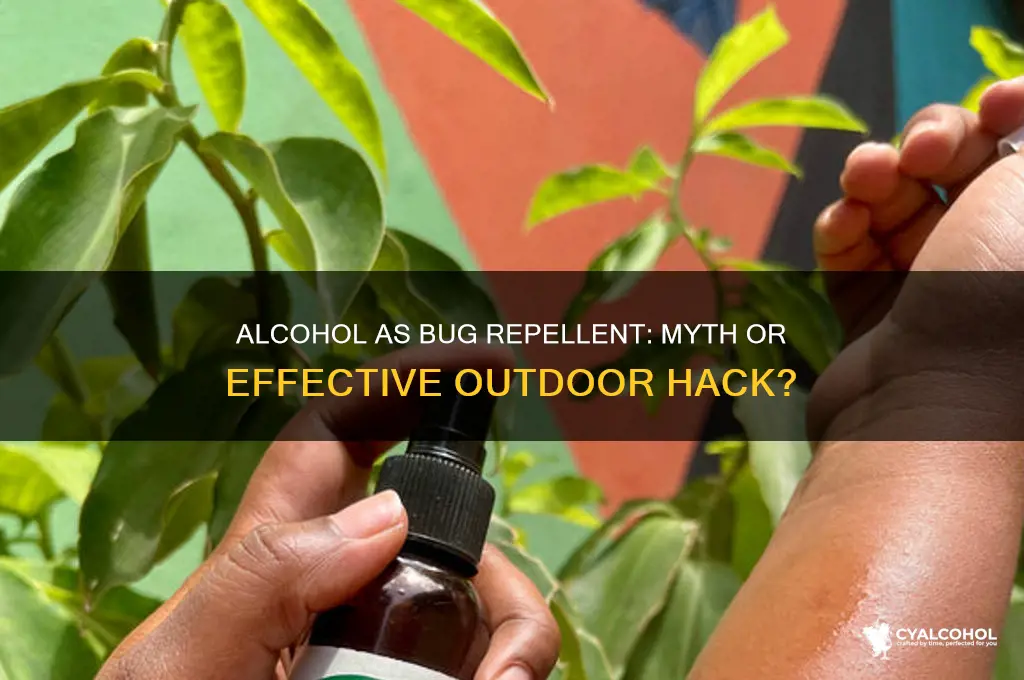Alcohol As Bug Repellent: Myth Or Effective Outdoor Hack? | CyAlcohol